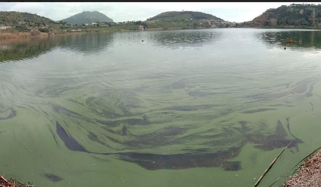Paura a Pozzuoli, l'acqua del lago d'Averno è diventata verde